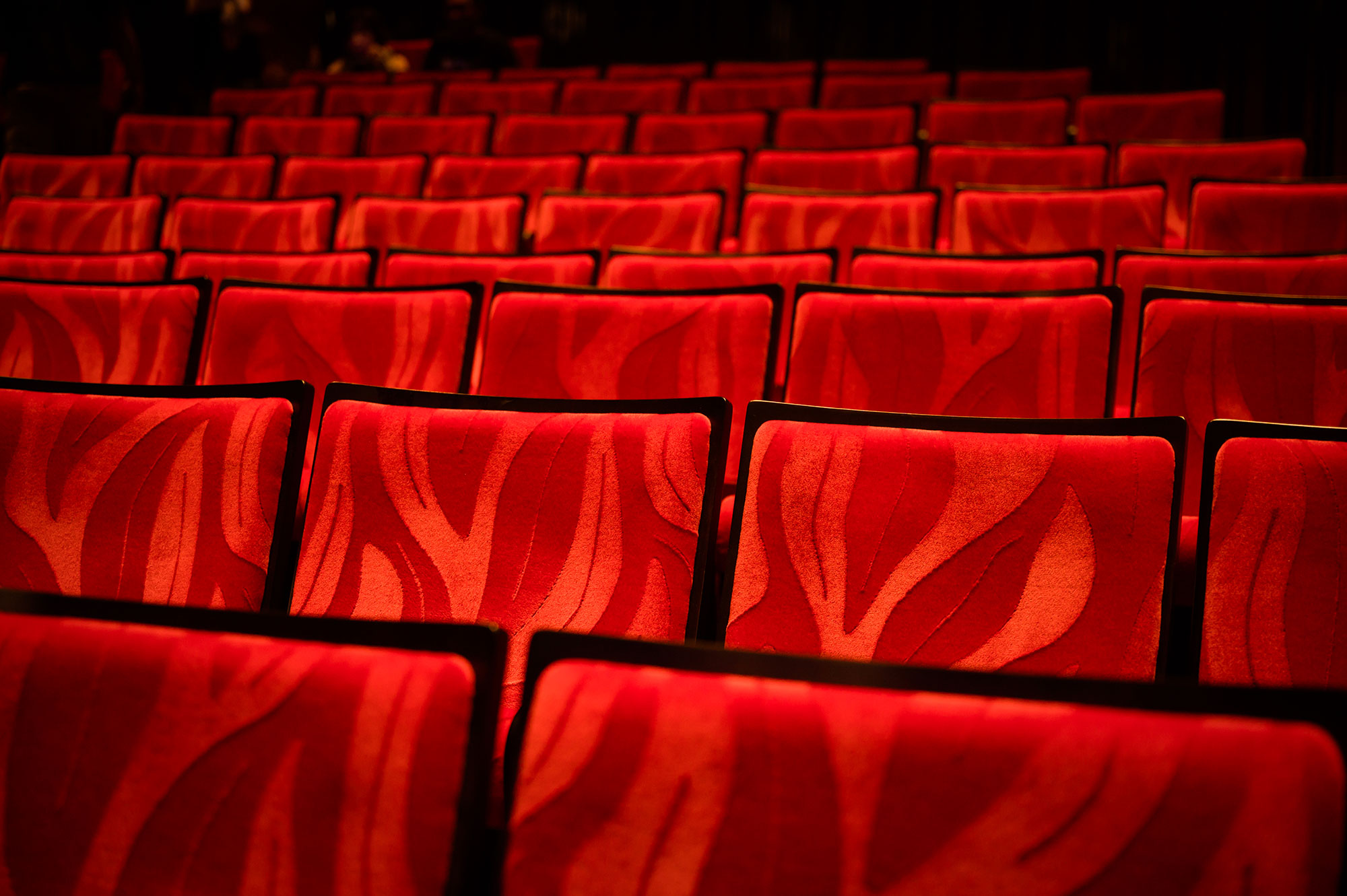 HOYTS - Avani Solutions